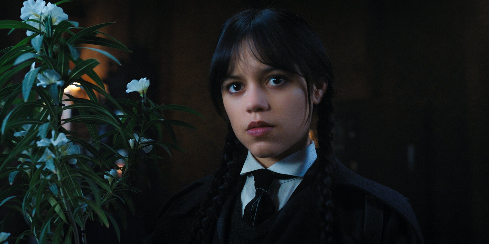 "Wednesday" geht weiter: Das sagt Jenna Ortega über Staffel 2 News